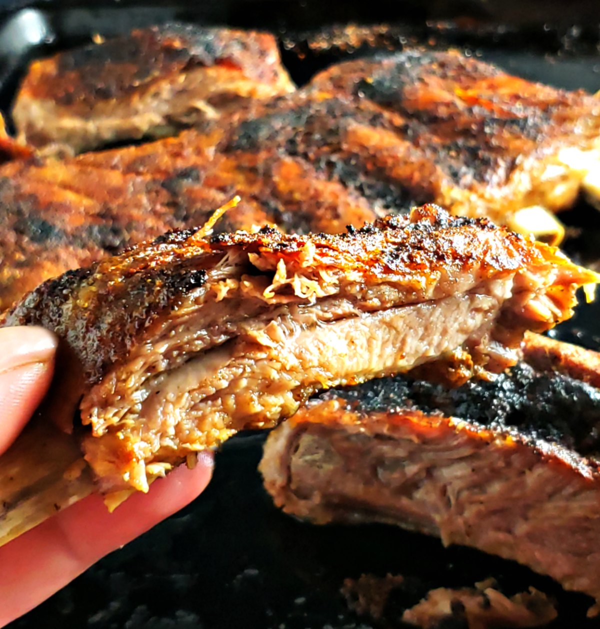 Sweet & Spicy Cajun Spare Ribs - Frugal Hausfrau